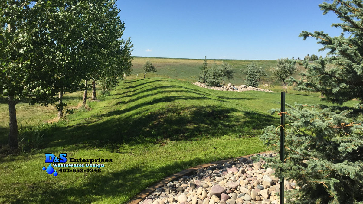 Septic Mound Landscaping Ideas Pros And Cons Of Mound Septic Systems